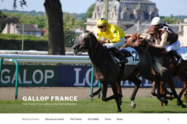 Horse Racing Syndicates